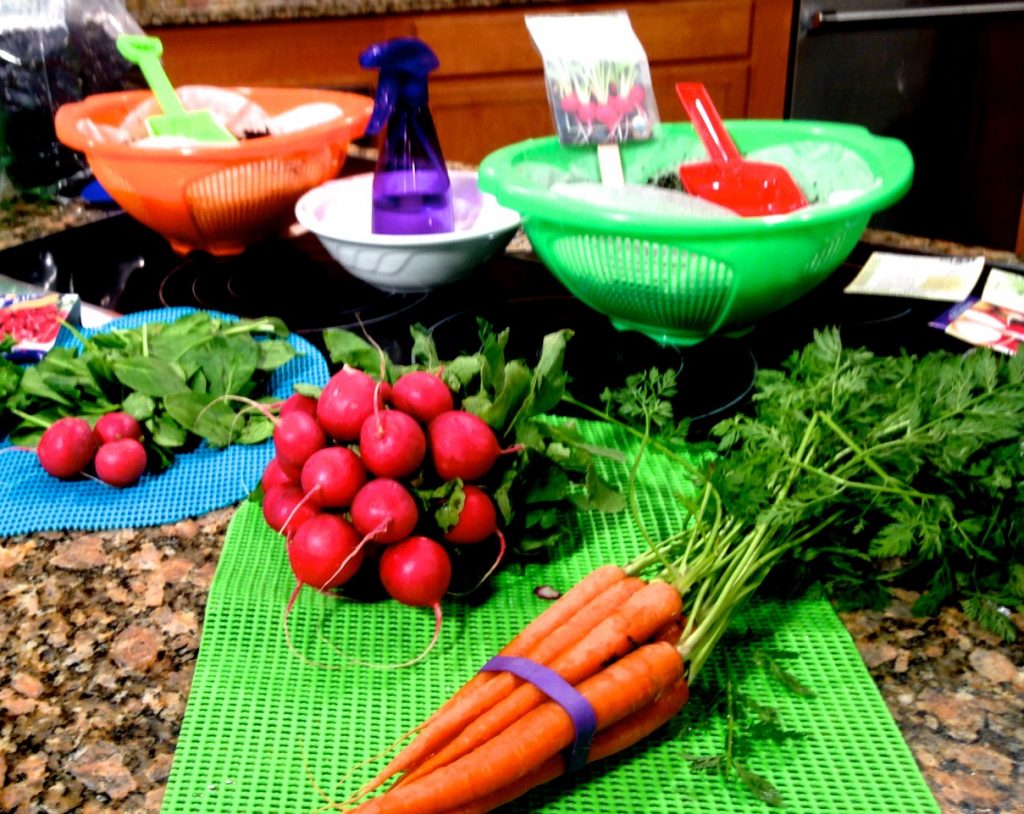 Colander Gardens for Kids - Countryside